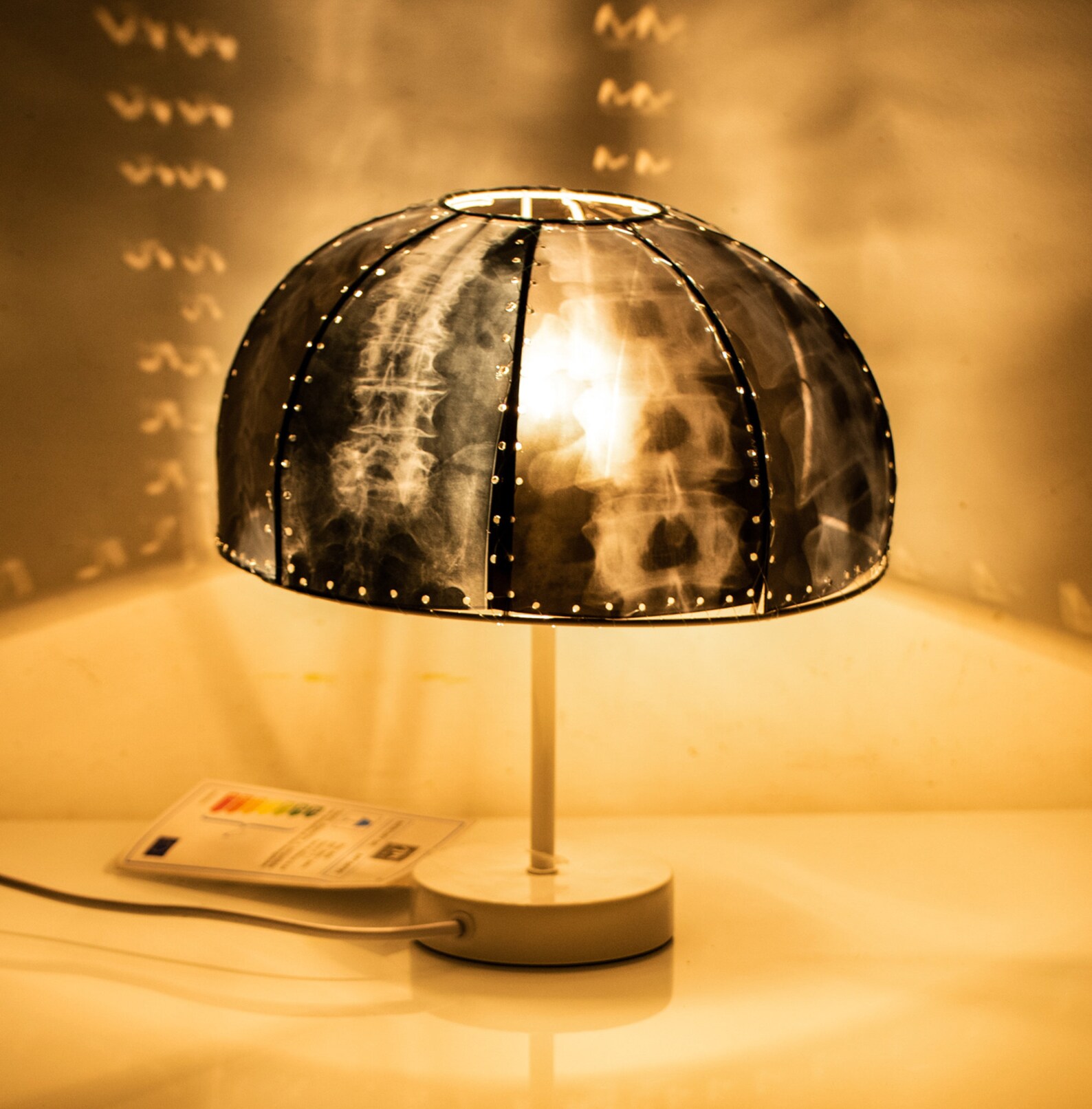 Table Lamp With Spinal Column X-ray, Images for a Medical Art Lampshade ...