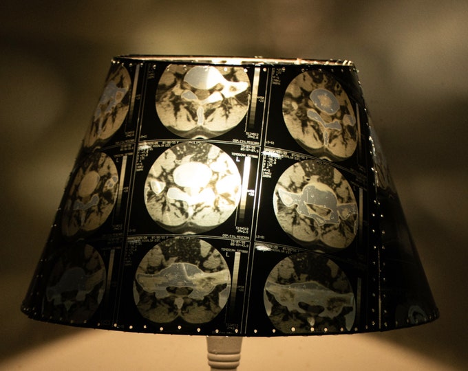 Table or Floor Round Lamp With X-ray of Guts, Housewarming Gift for ...