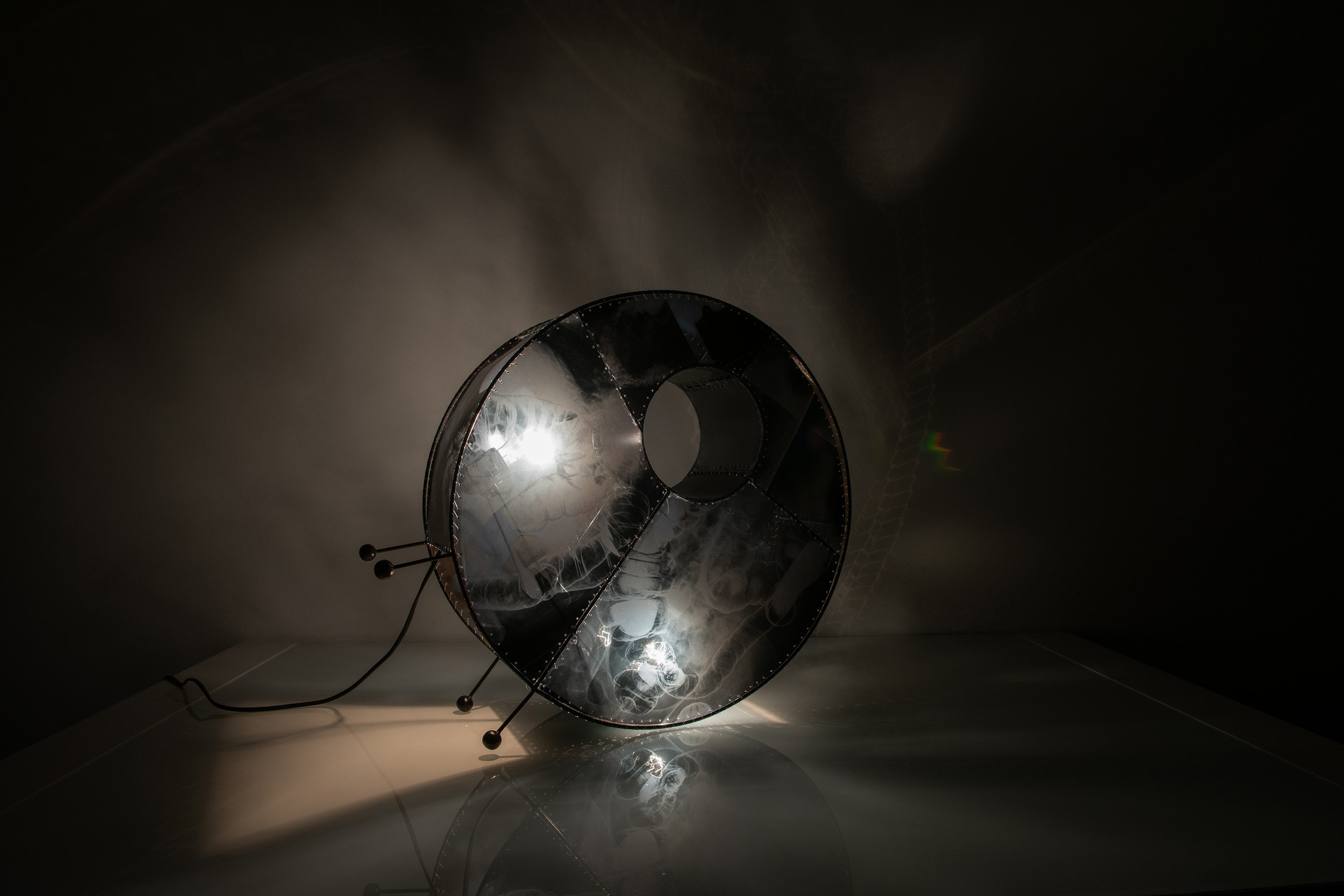 Table or Floor Round Lamp With X-ray of Guts, Housewarming Gift for ...
