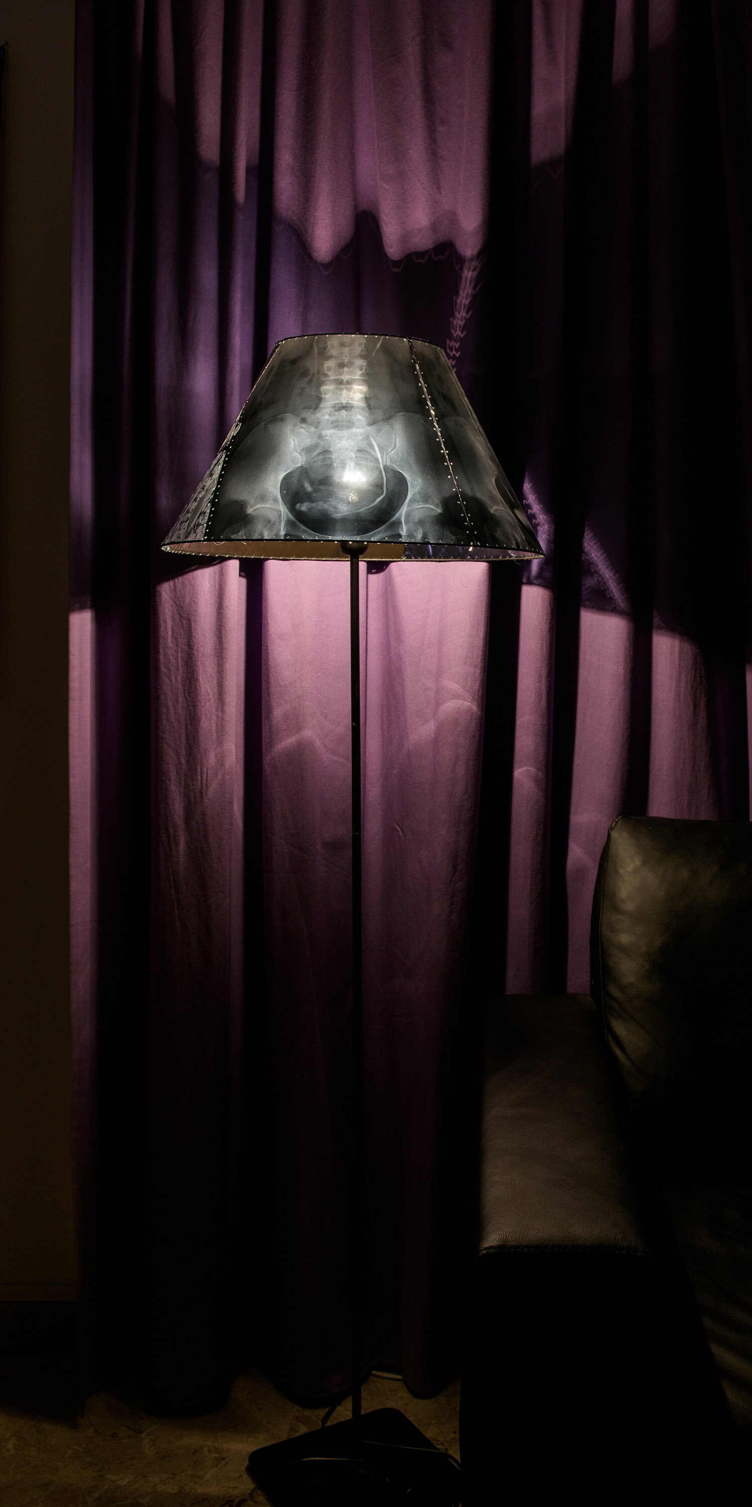 Floor Lamp X-ray Pelvis and Spine, Gift for Doctor Radiologist Office ...