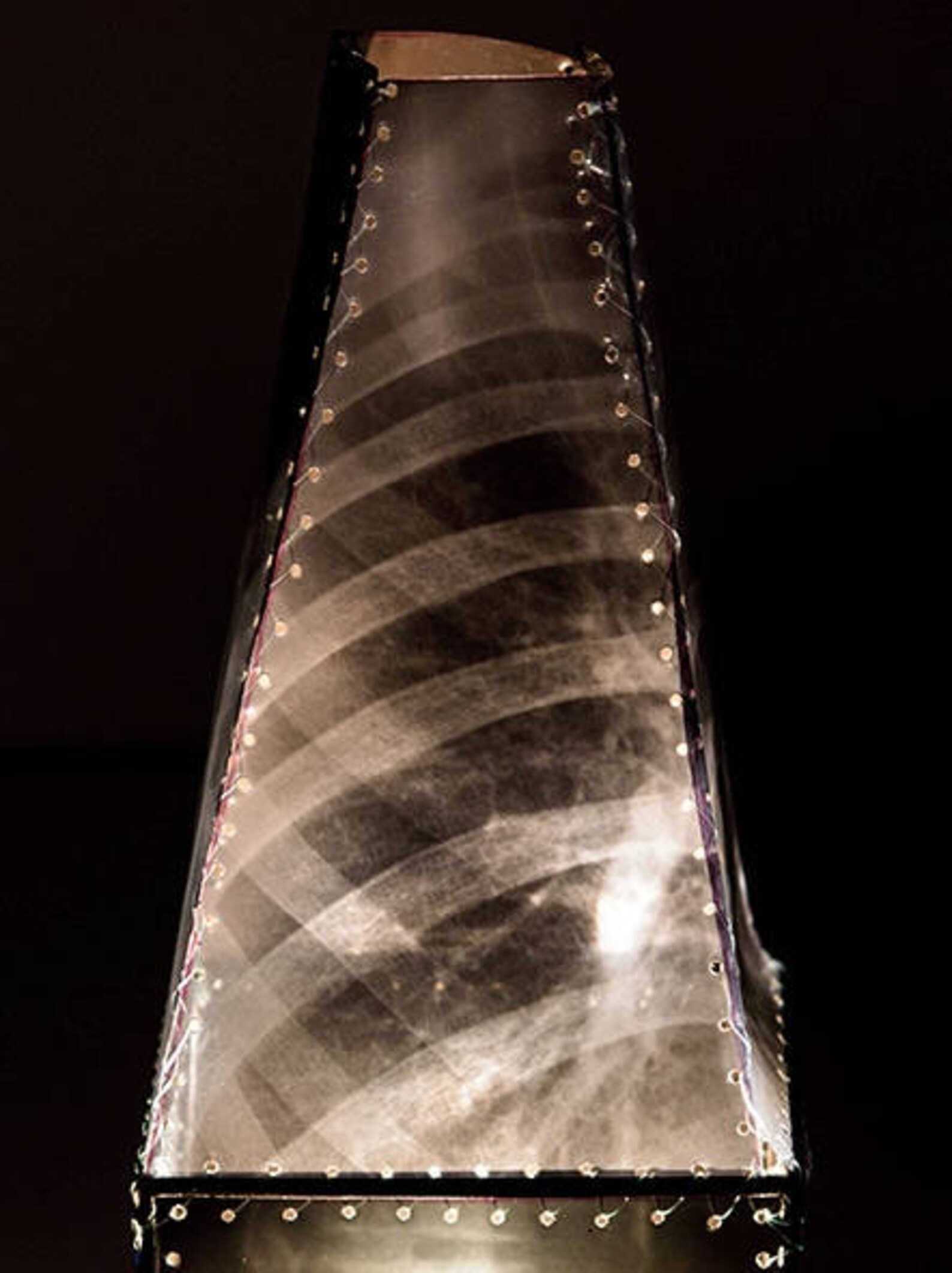 Table Lamp Spine Radiography Original Gif Doctor Radiolgrapher ...