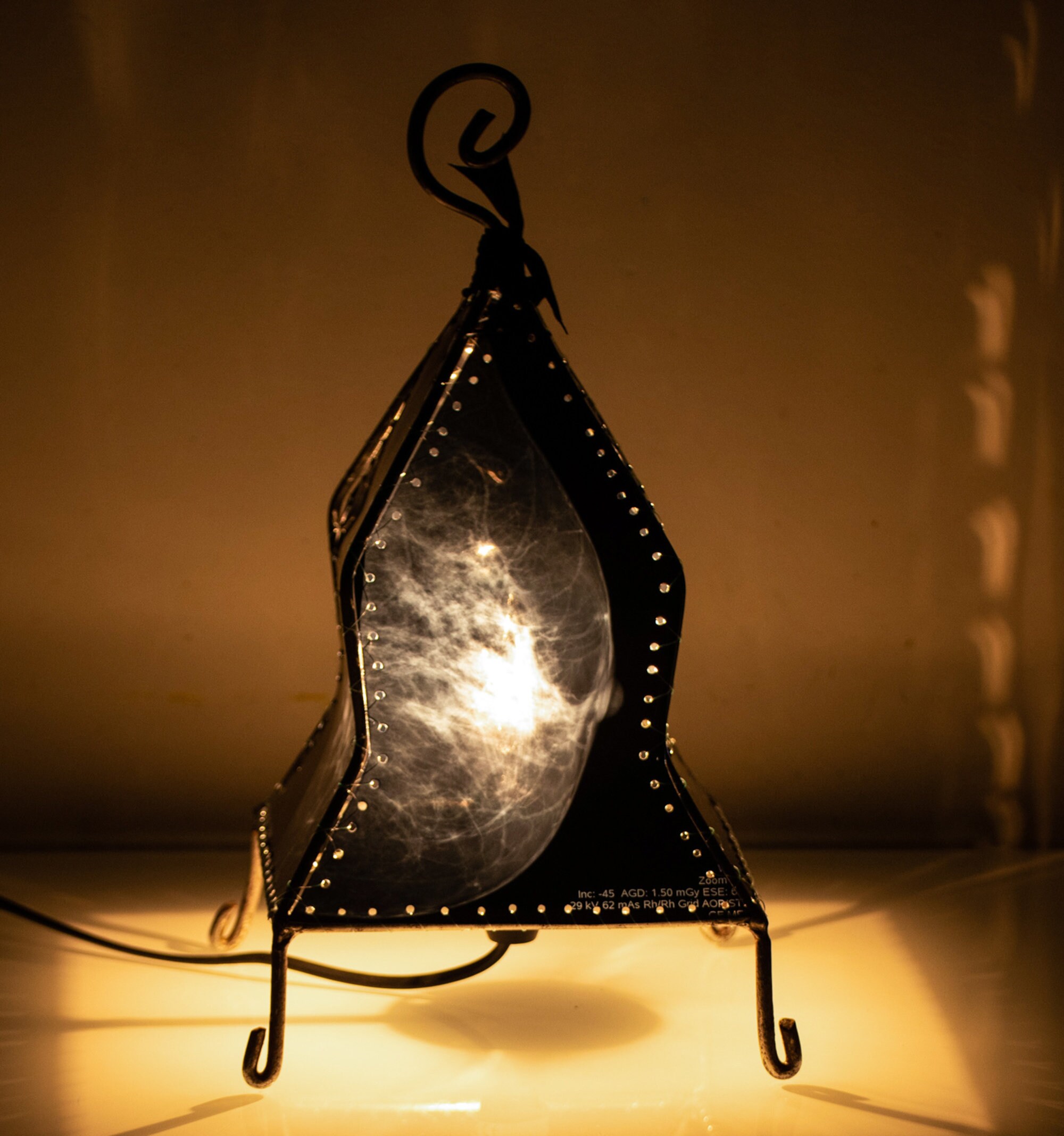Table Lamp Breast Anatomy Mammography X-ray, Doctor Radiographer or ...