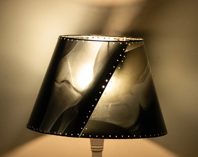 Table or Floor Round Lamp With X-ray of Guts, Housewarming Gift for ...