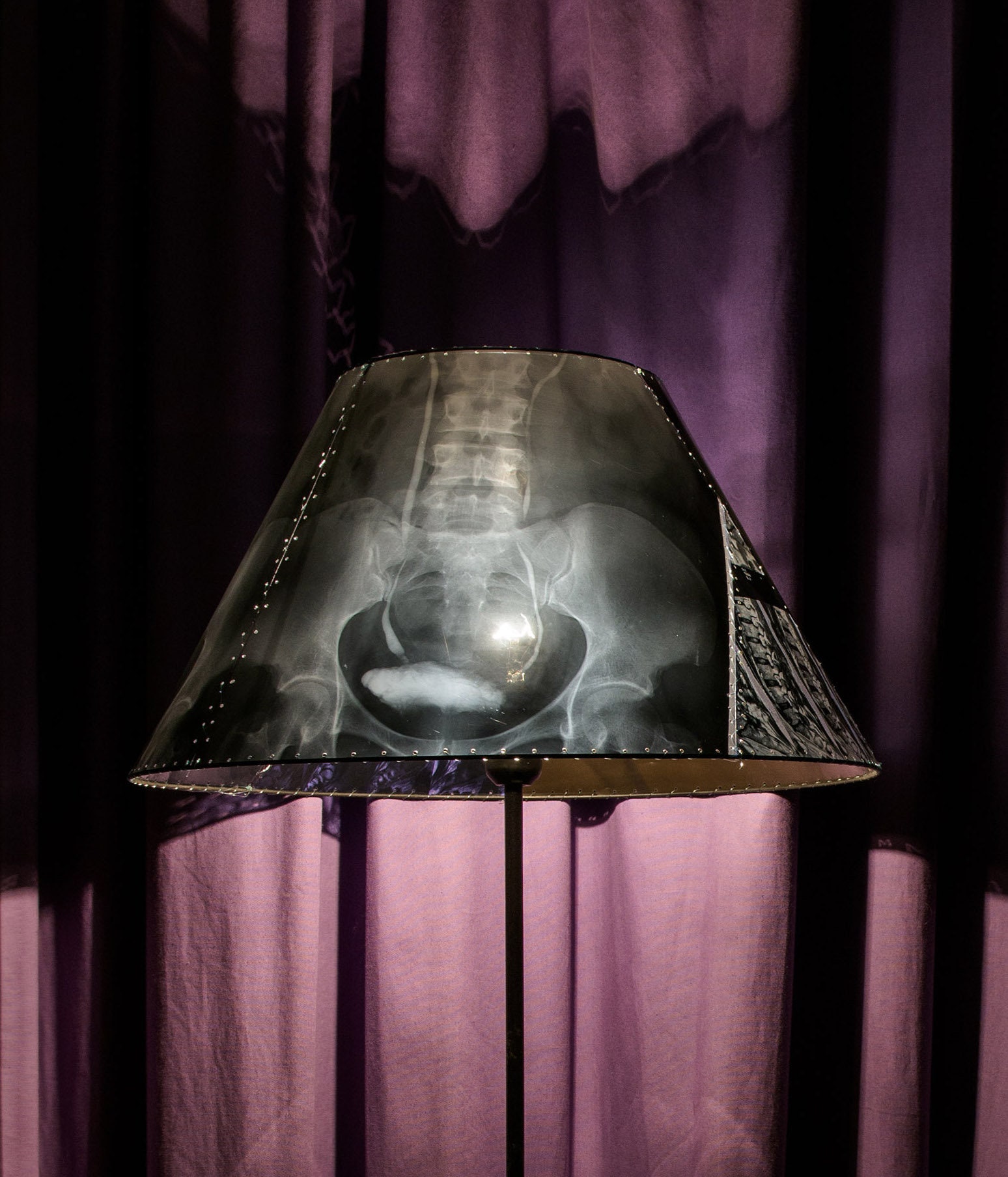 Floor Lamp X-ray Pelvis and Spine, Gift for Doctor Radiologist Office ...