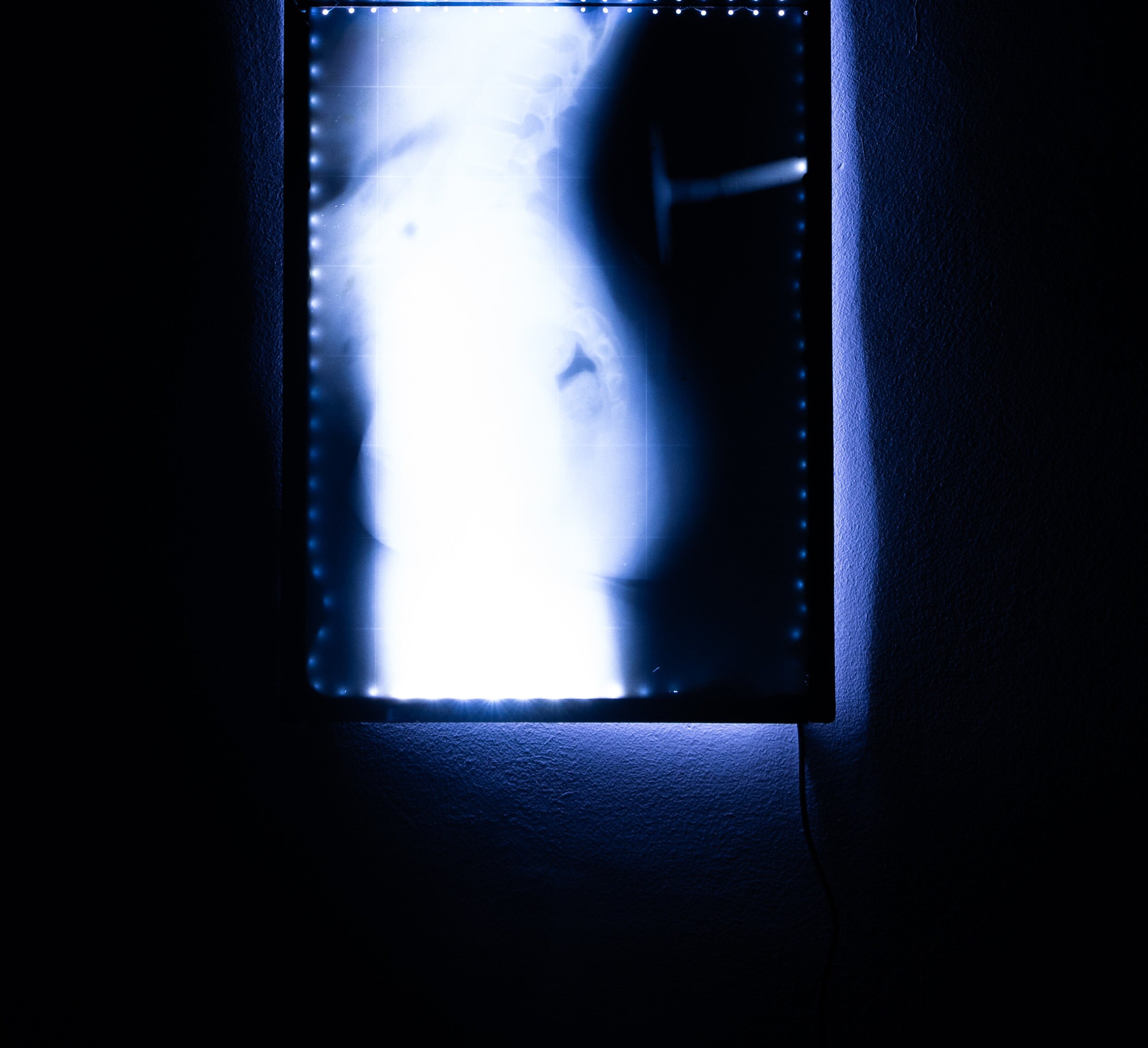 X-ray Led Lighted Picture Total Body, Spooky X-ray Pics for Goth Homes ...