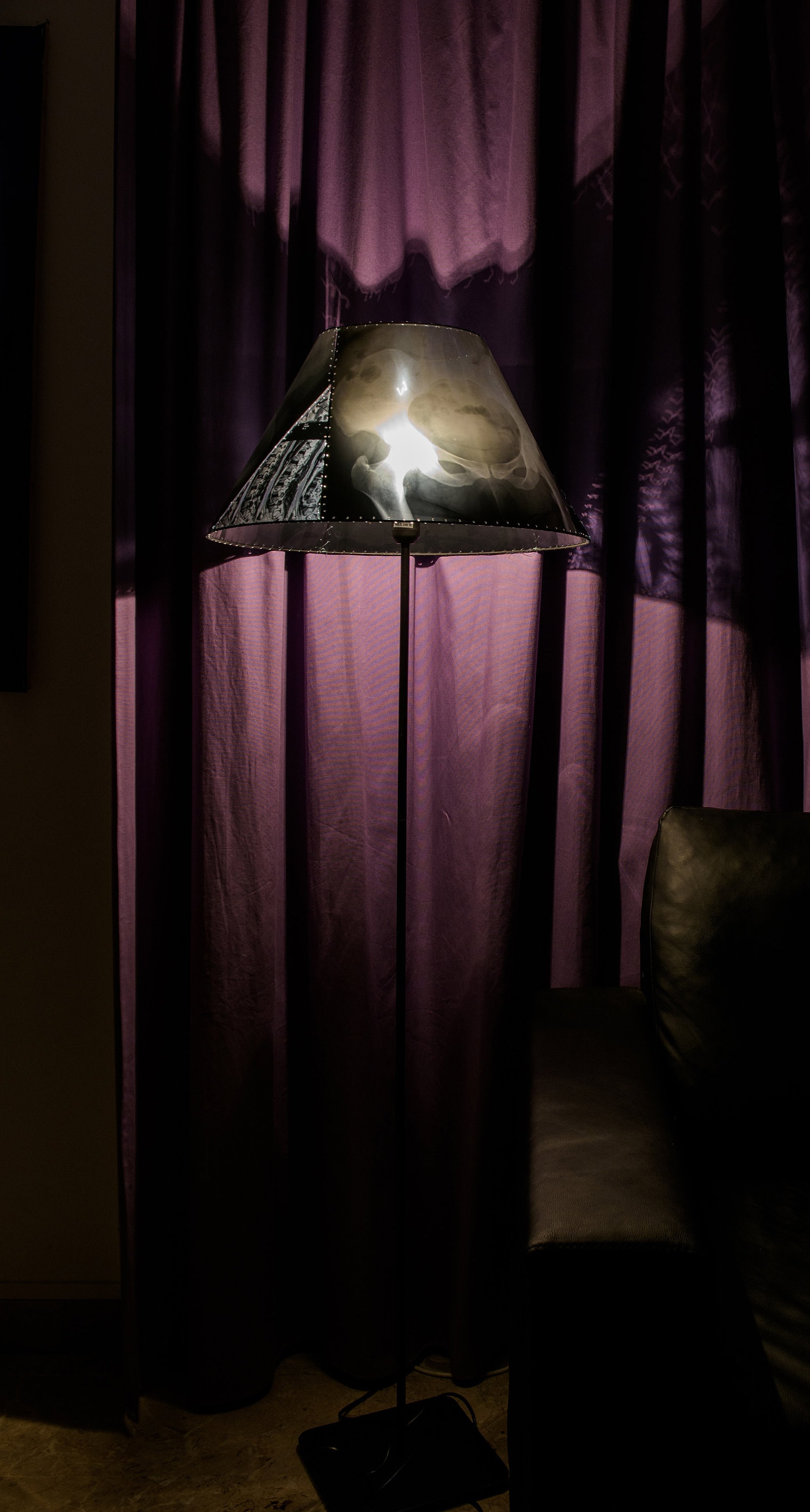 Floor Lamp X-ray Pelvis and Spine, Gift for Doctor Radiologist Office ...