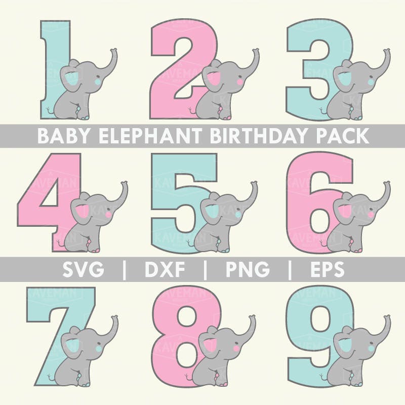 Elephant Birthday - Etsy