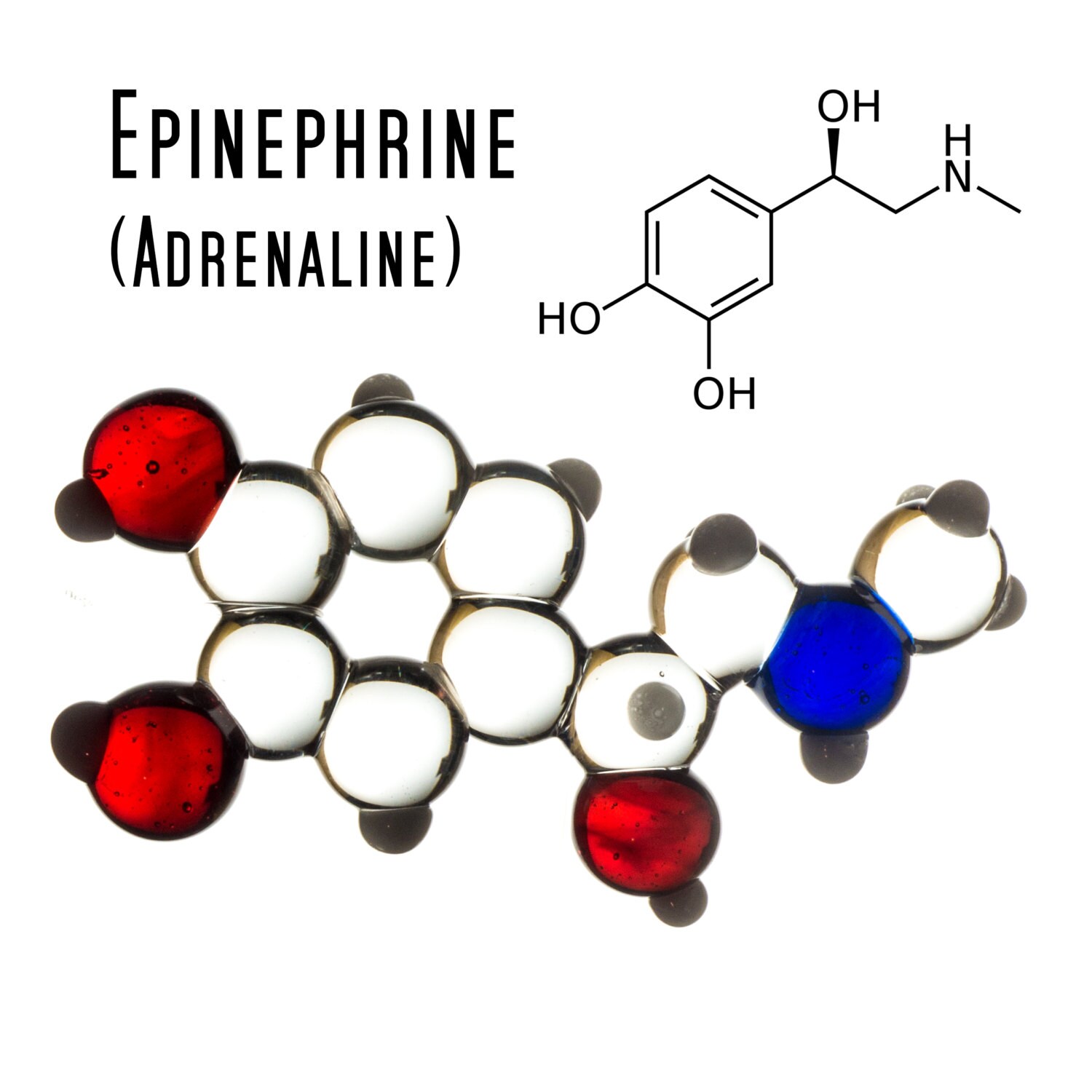 Lampworked Glass Epinephrine (adrenaline) Molecule Model - Standard ...