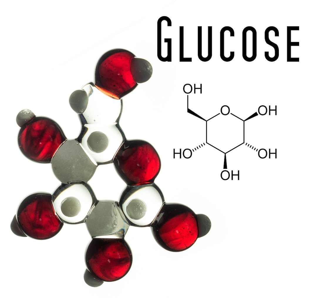 Glucose Molecule Lampworked Glass Model - Small - Etsy