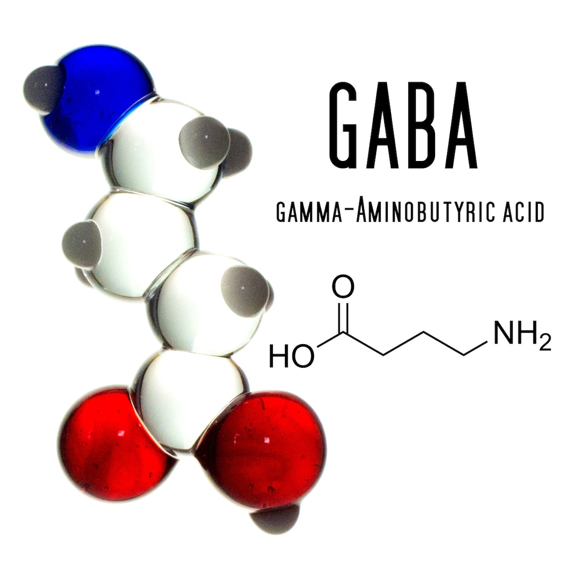 Lampworked Glass GABA Molecule Model - Standard Colors - Etsy