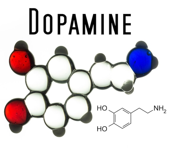 Lampworked Glass Dopamine Molecule Model Standard Colors | Etsy