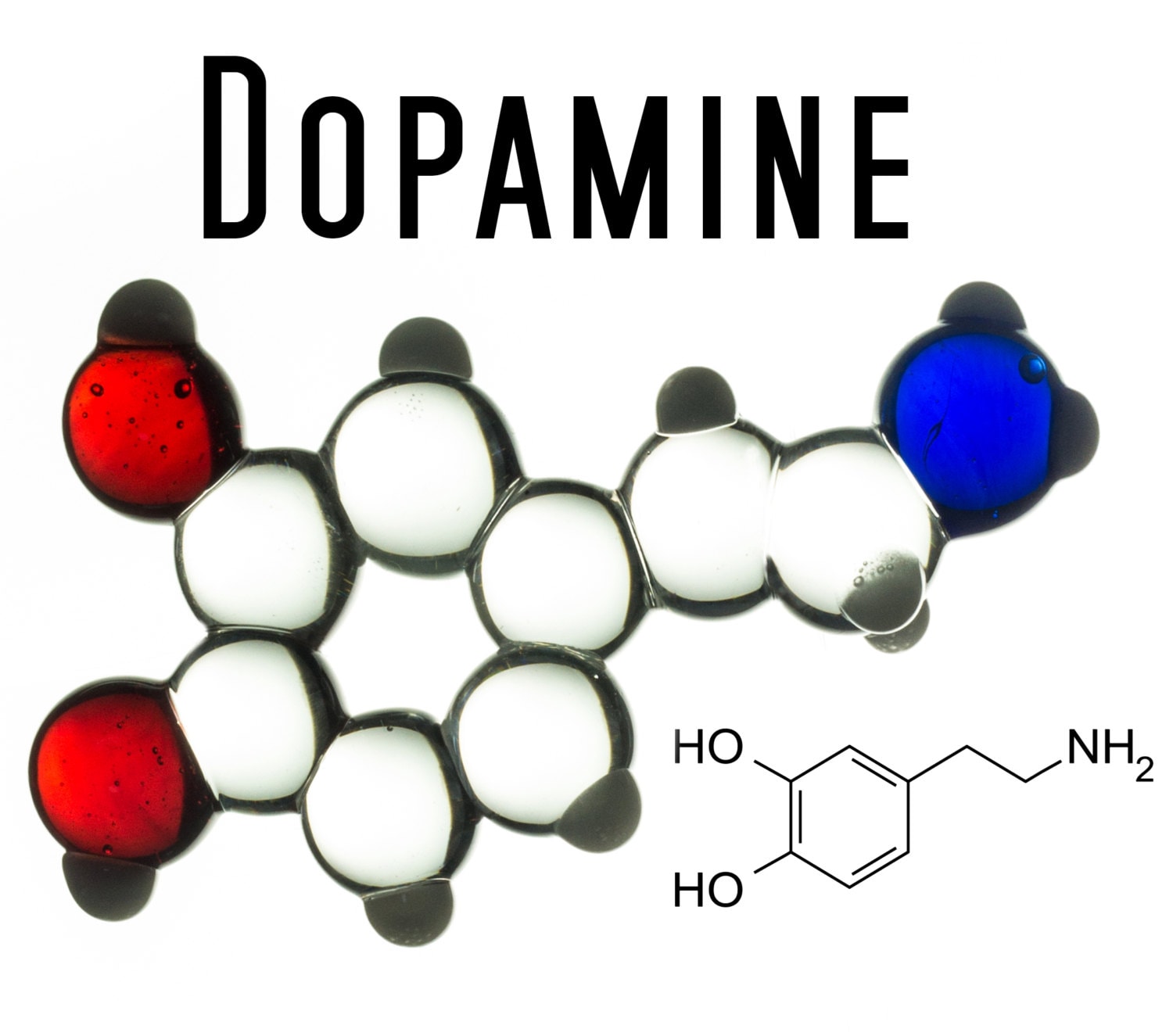 Lampworked Glass Dopamine Molecule Model - Standard Colors - Etsy