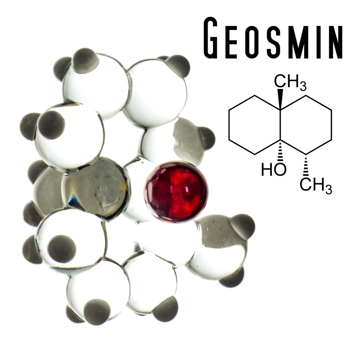 Lampworked Glass Geosmin Molecule Model - Small - Etsy