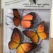 2-styles ALPHA BUTTERFLY, 3D Trio, Designer Handcrafted, Gift Wrapping ...