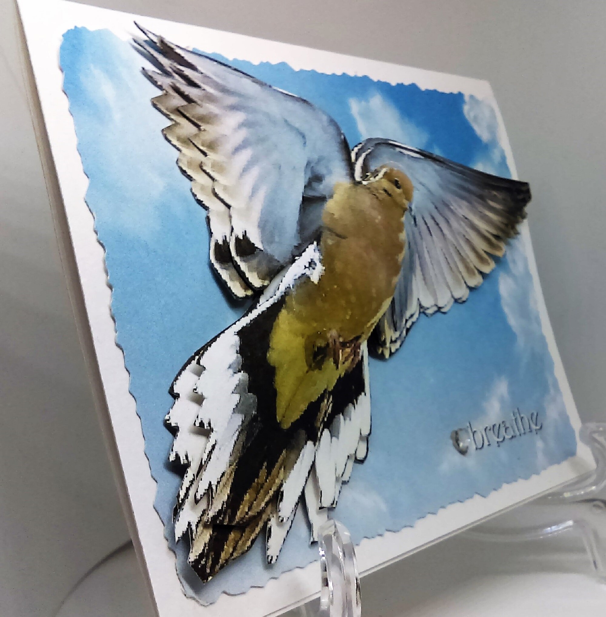 MOURNING DOVE - 3D Note Card/art Display - All-occasion - Designer ...