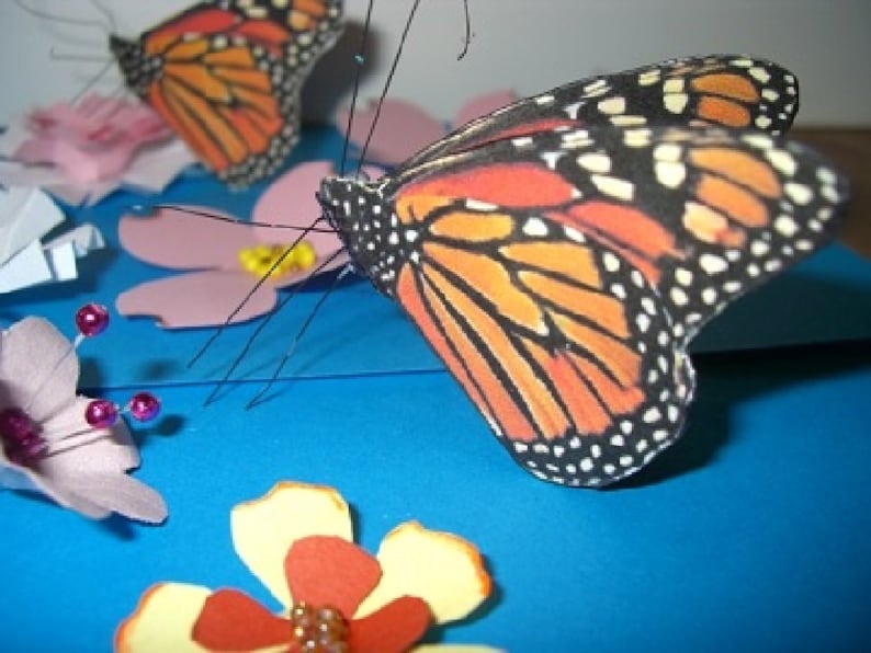 2-styles ALPHA BUTTERFLY, 3D Trio, Designer Handcrafted, Gift Wrapping ...