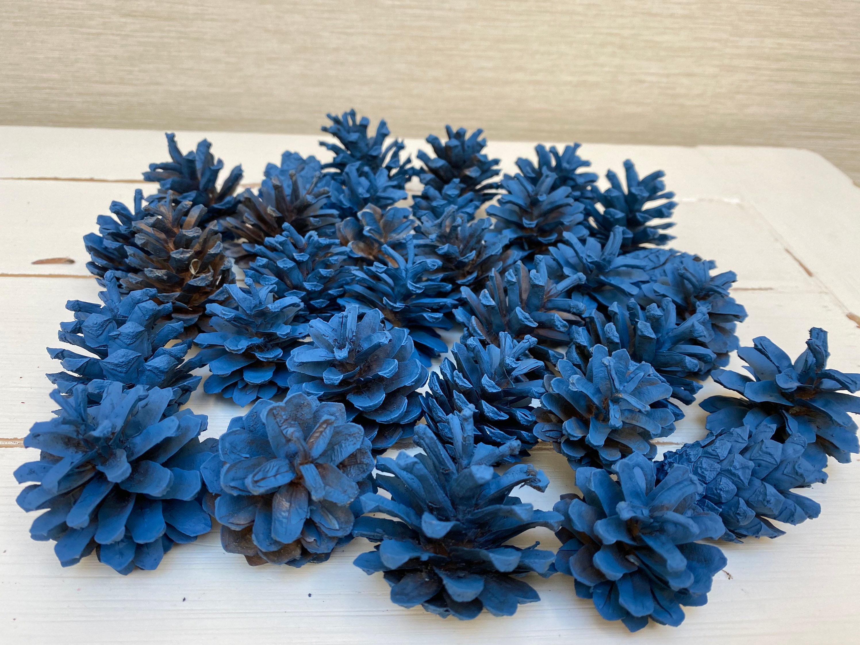 Sprayed Small Pine Cones Pack of 30 Choice of Red White or | Etsy