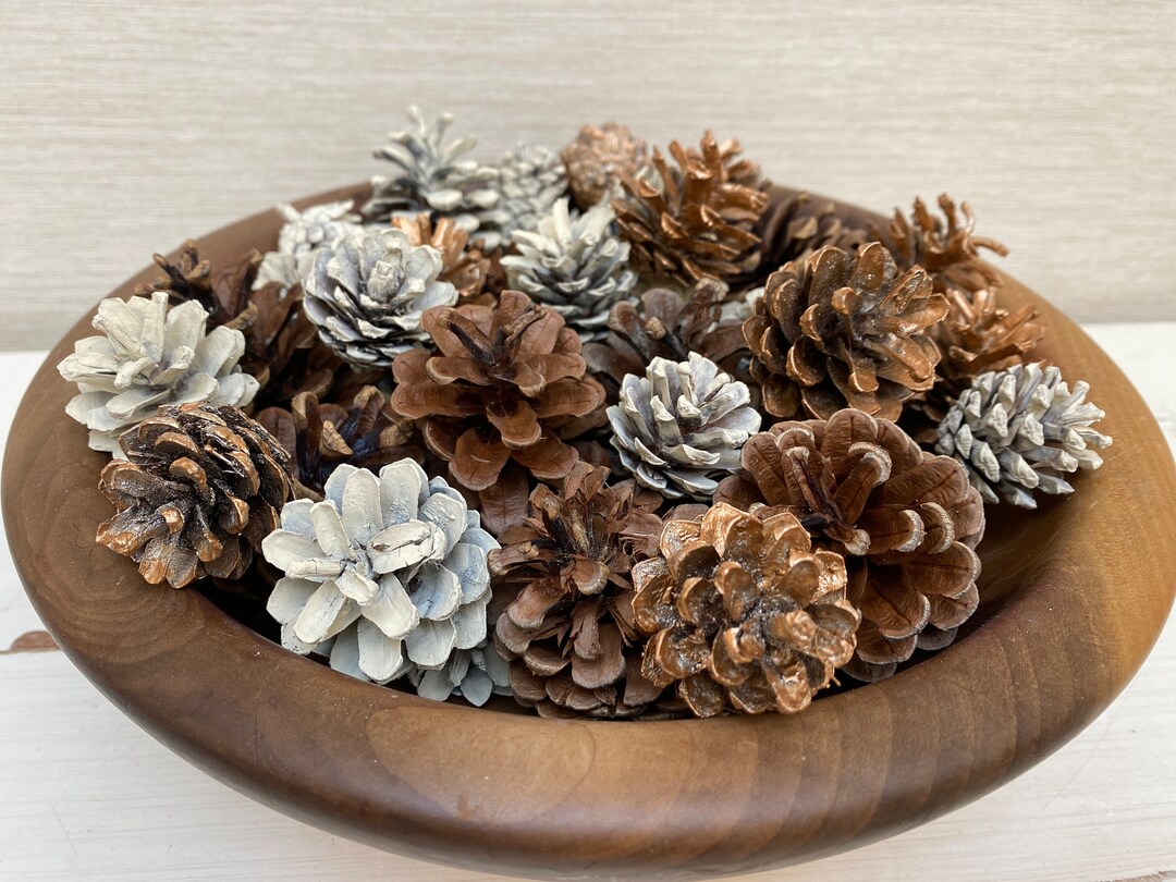 Natural Tones - Sprayed Small Pine Cones - Sand , Copper and Natural ...