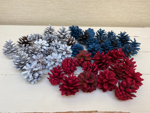 Sprayed Small Pine Cones Pack of 30 Choice of Red White or | Etsy
