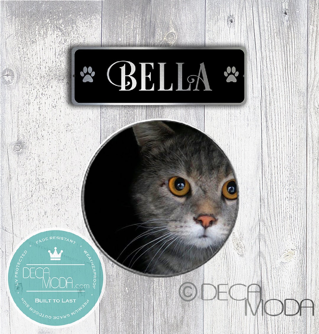 Custom Cat Name Sign | Cat House Sign | Cat House Accessories | Cat ...