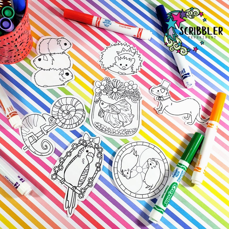 Pet Coloring Stickers, Animal Stickers Pack, Kawaii Stickers Pack ...