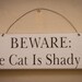 The Cat Is Shady Sign Cat Gift Funny Beware Of Cat Sign | Etsy