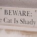The Cat Is Shady Sign Cat Gift Funny Beware Of Cat Sign | Etsy