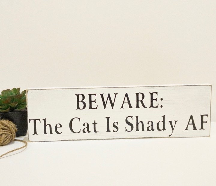 The Cat is Shady Sign Cat Gift Funny Beware of Cat Sign Wood | Etsy
