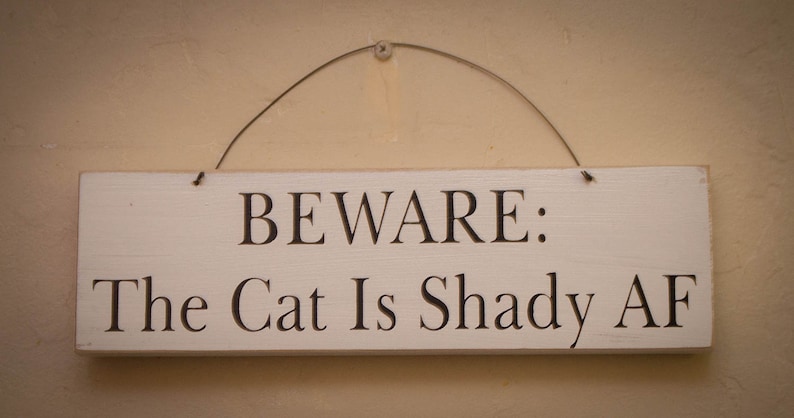 The Cat Is Shady Sign Cat Gift Funny Beware Of Cat Sign | Etsy