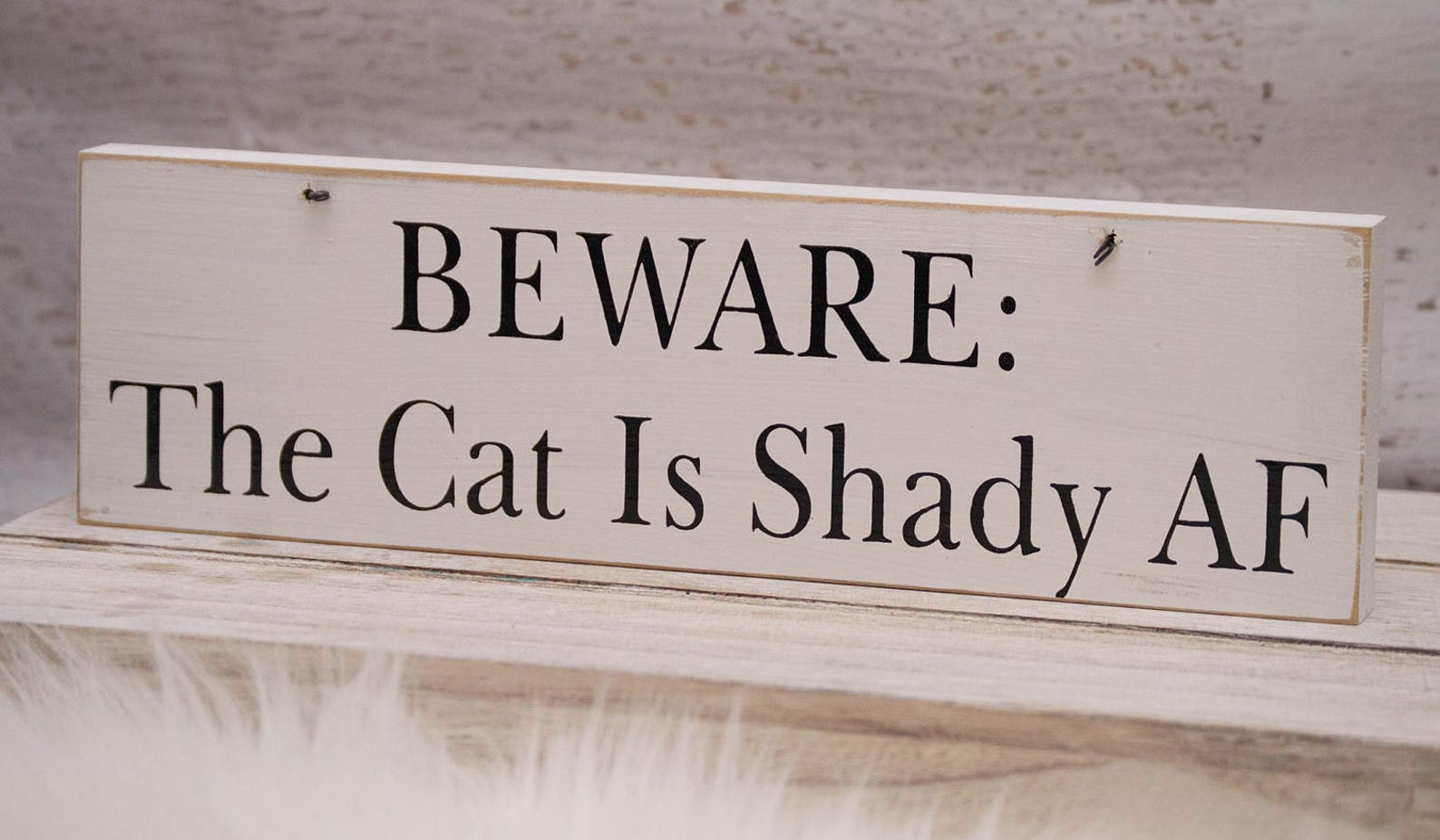 The Cat is Shady Sign Cat Gift Funny Beware of Cat Sign Wood - Etsy