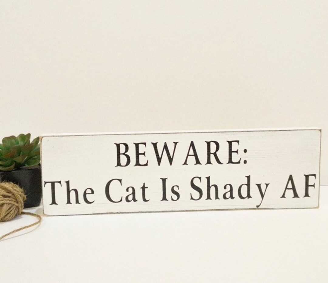 Funny Cat Sign Wooden Sign for Cat Owner Cat Sign for Door Hanging Cat ...
