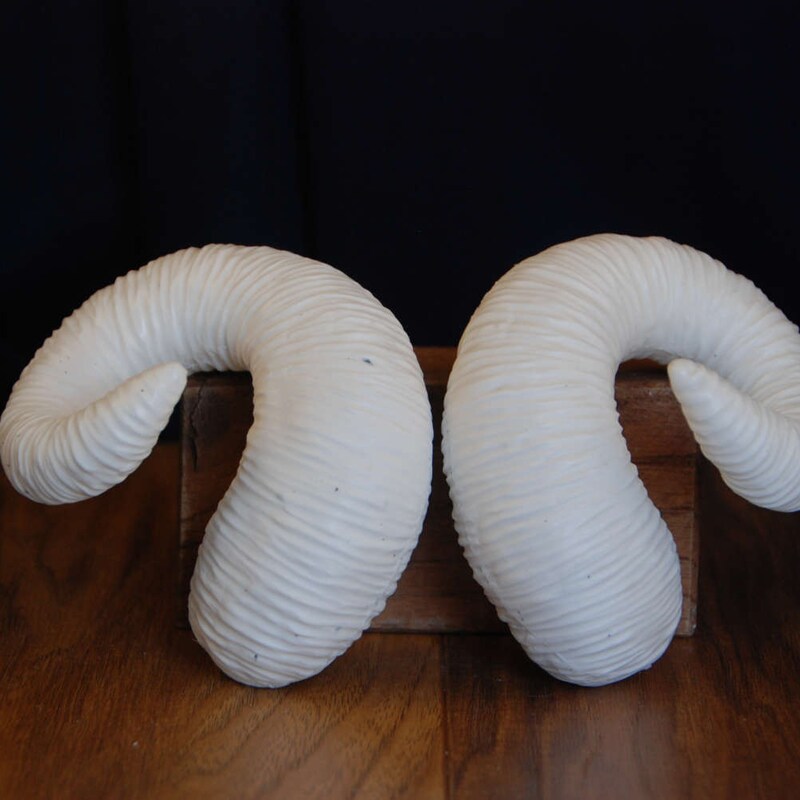 Ram Horns Costume - Etsy