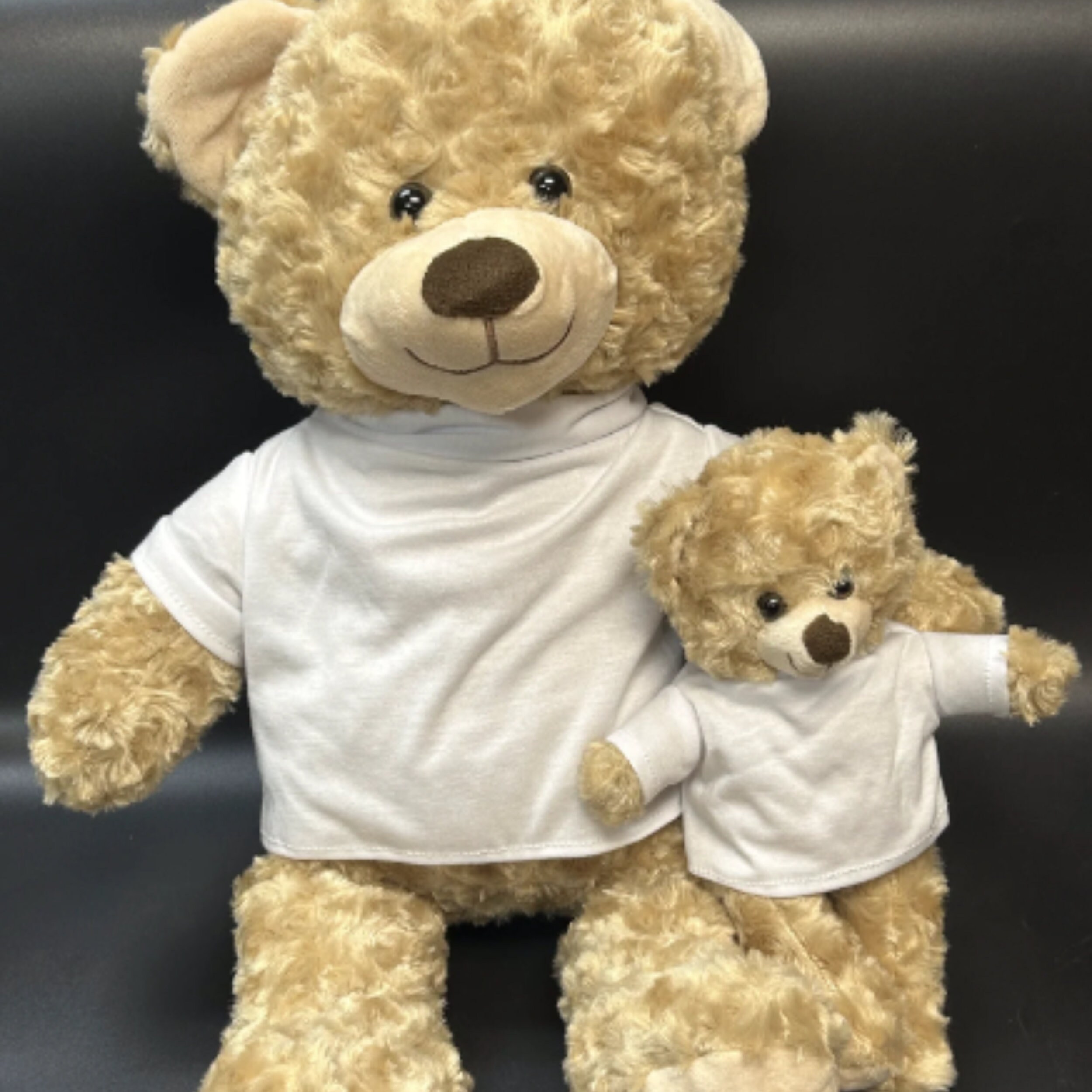 Custom Teddy Bear Memory Bear Personalized Bear Graduation Bear Will ...