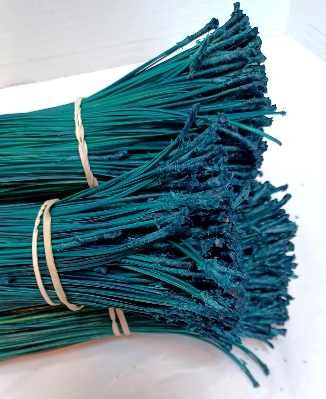 Turquoise Blue / Green Glycerin Treated North Carolina Long Leaf Dyed ...