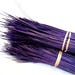 Crystal Violet (purple) Glycerin Treated North Carolina Long Leaf Dyed ...