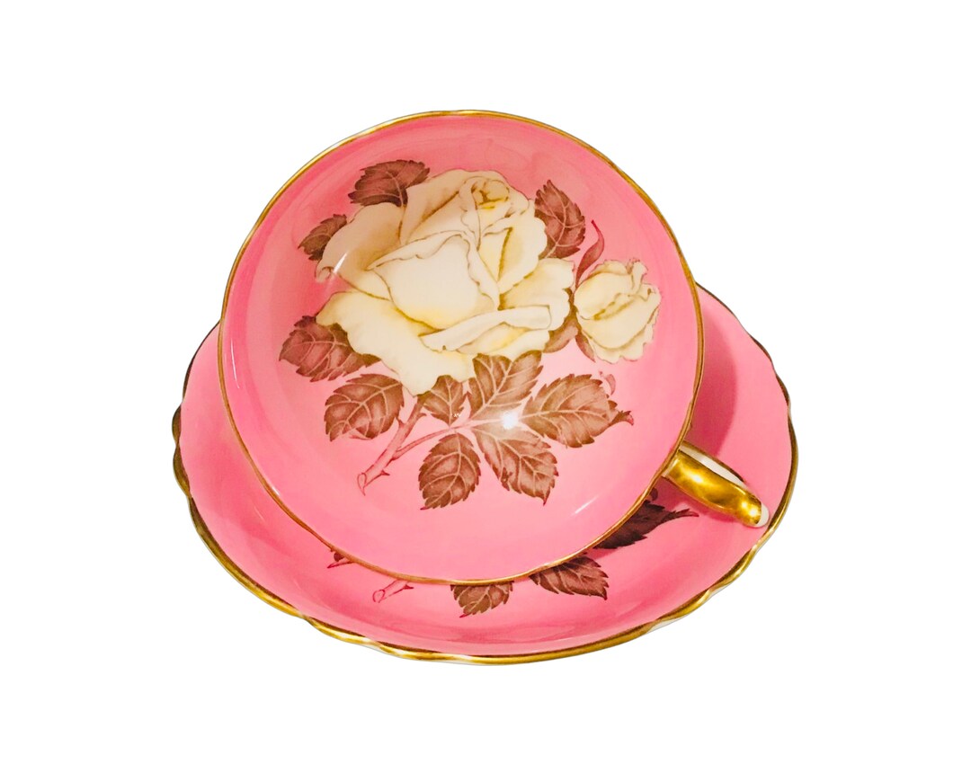 Rare Paragon Vintage Double Royal Warrant Pink With White Cabbage Roses ...