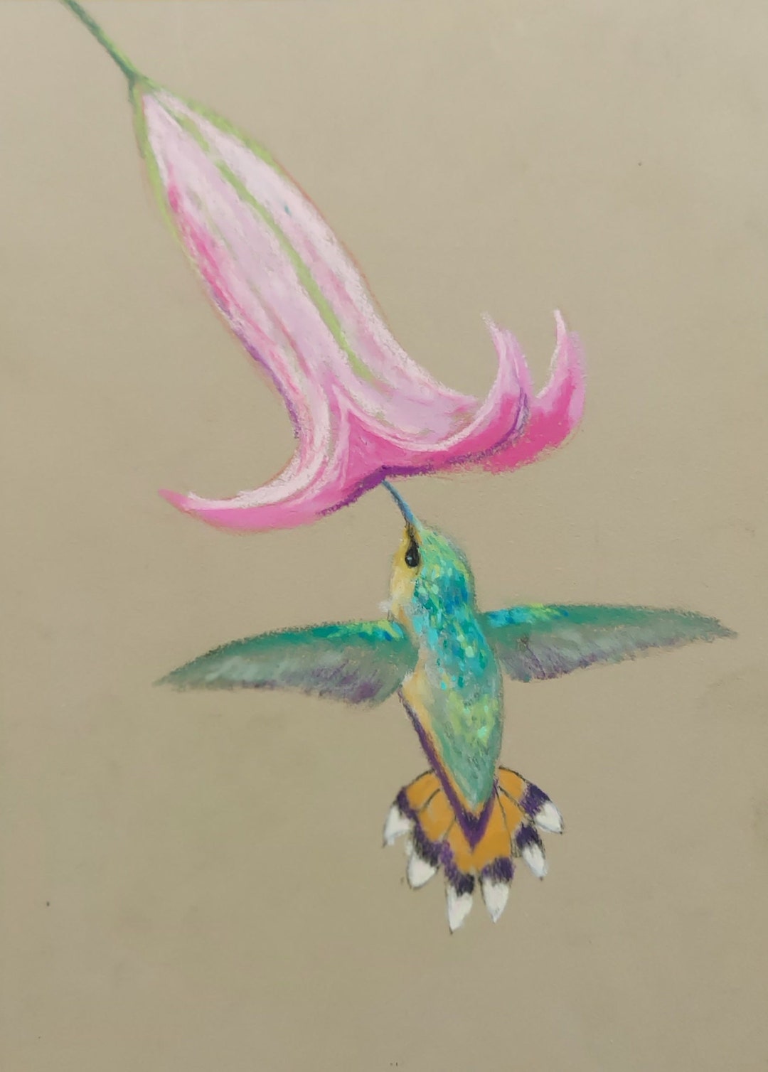 Hummingbird Pastel Painting: Original Art, Trumpet Flower, Matted - Etsy