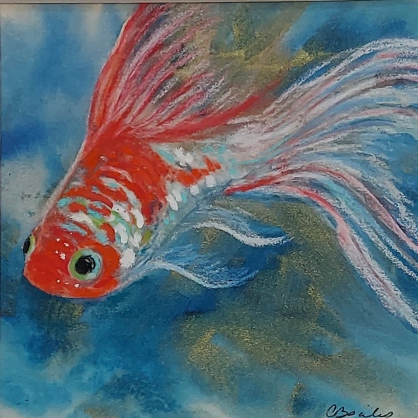 Fancy Fish - Etsy