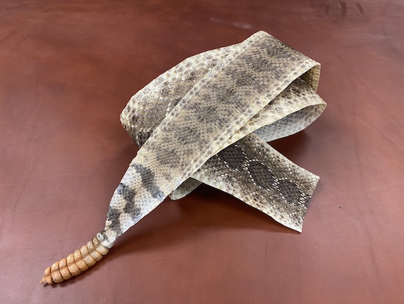Western Diamondback Rattlesnake Skin With Rattle/tanned - Etsy