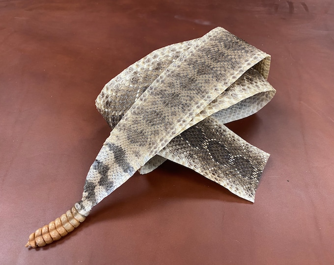 Western Diamondback Rattlesnake Skin With Rattle/tanned - Etsy