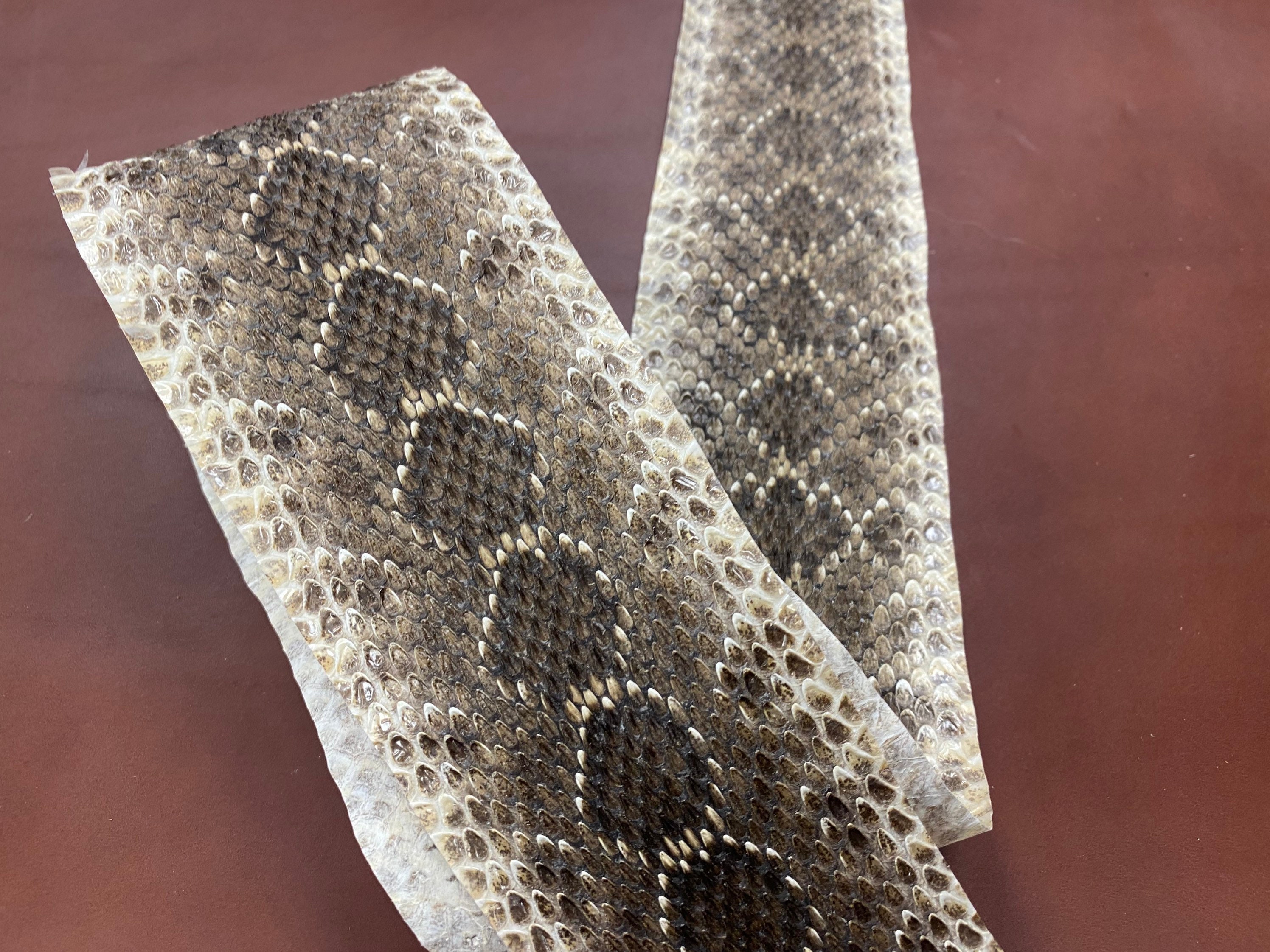 Western Diamondback Rattlesnake Skin With Rattle/tanned - Etsy