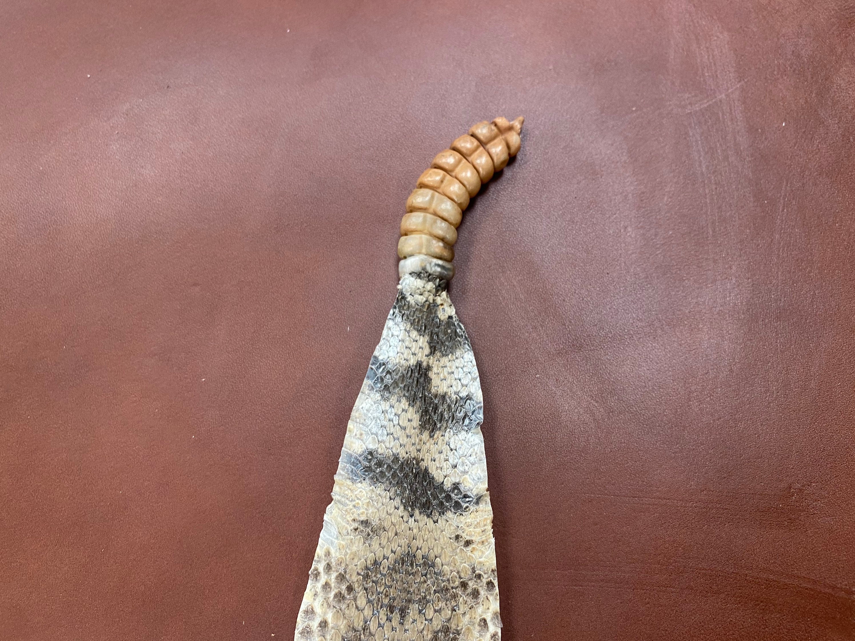 Western Diamondback Rattlesnake Skin With Rattle/tanned - Etsy