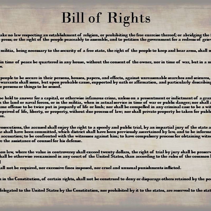 Bill of Rights Poster - Etsy