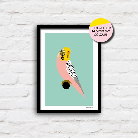 Joey the Budgie Print Budgie Print Bird Print Wall Art - Etsy