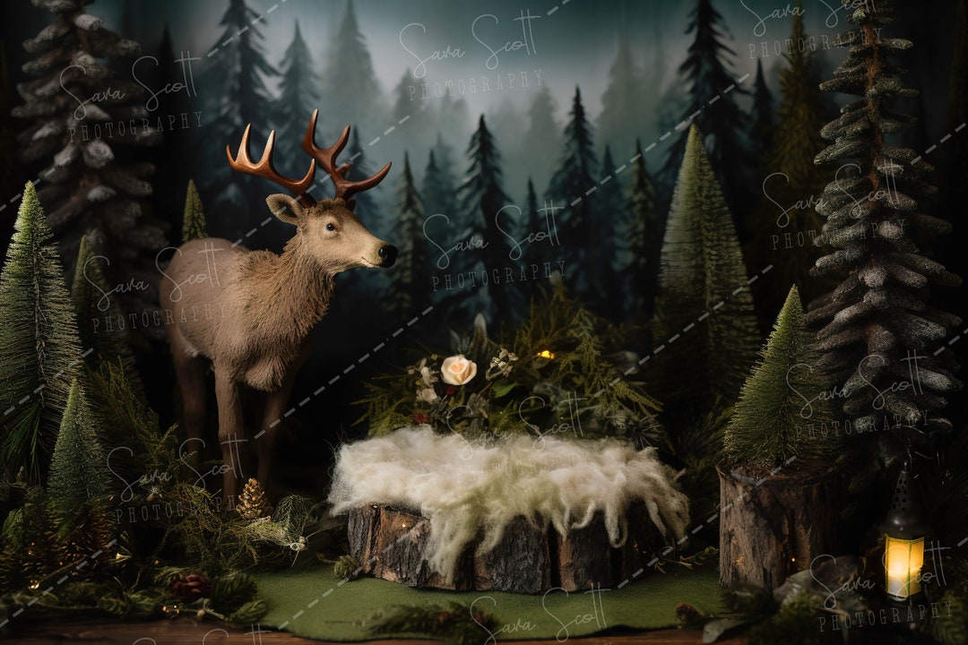 Newborn Digital Backdrop, Woodland Forest With a Deer - Etsy