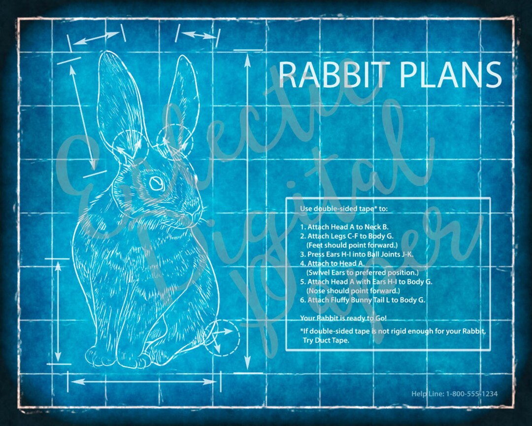 Funny Rabbit Blueprint, Rabbit Poster, Rabbit Wall Art, Gift for Rabbit ...