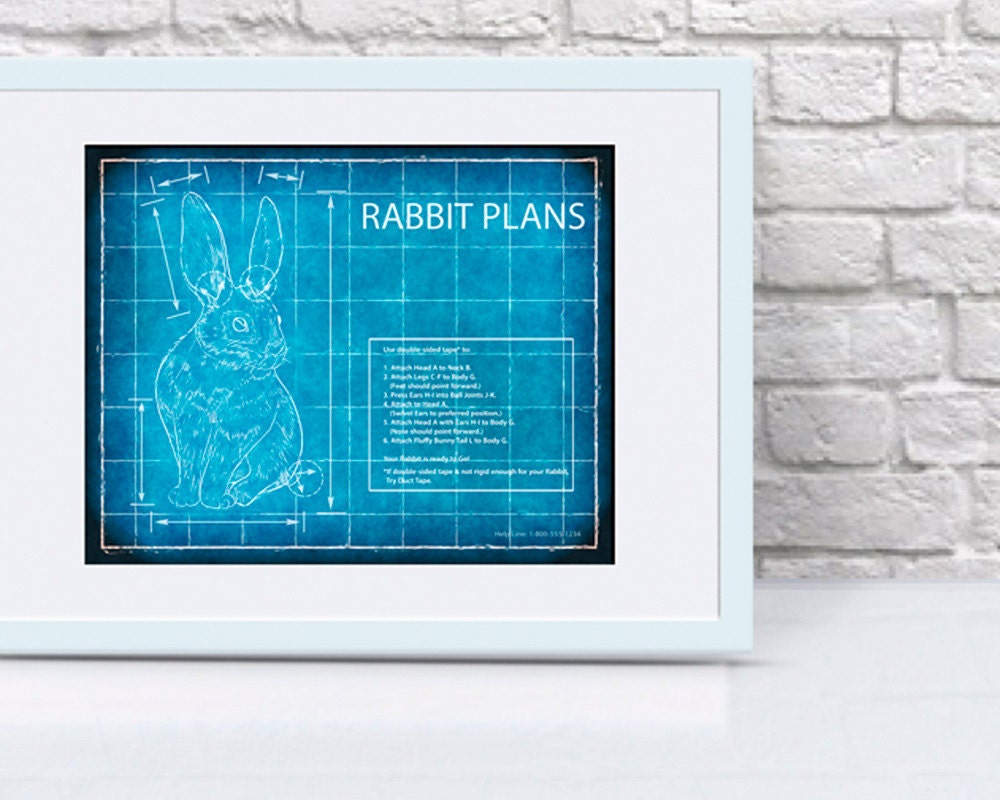 Funny Rabbit Blueprint, Rabbit Poster, Rabbit Wall Art, Gift for Rabbit ...