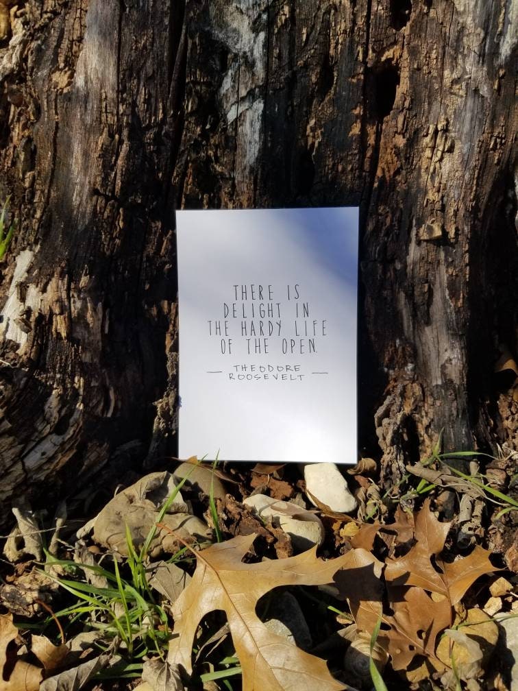 Theodore Roosevelt Quote, Hardy Life, 5x7 Hand Letter Print, Teddy ...