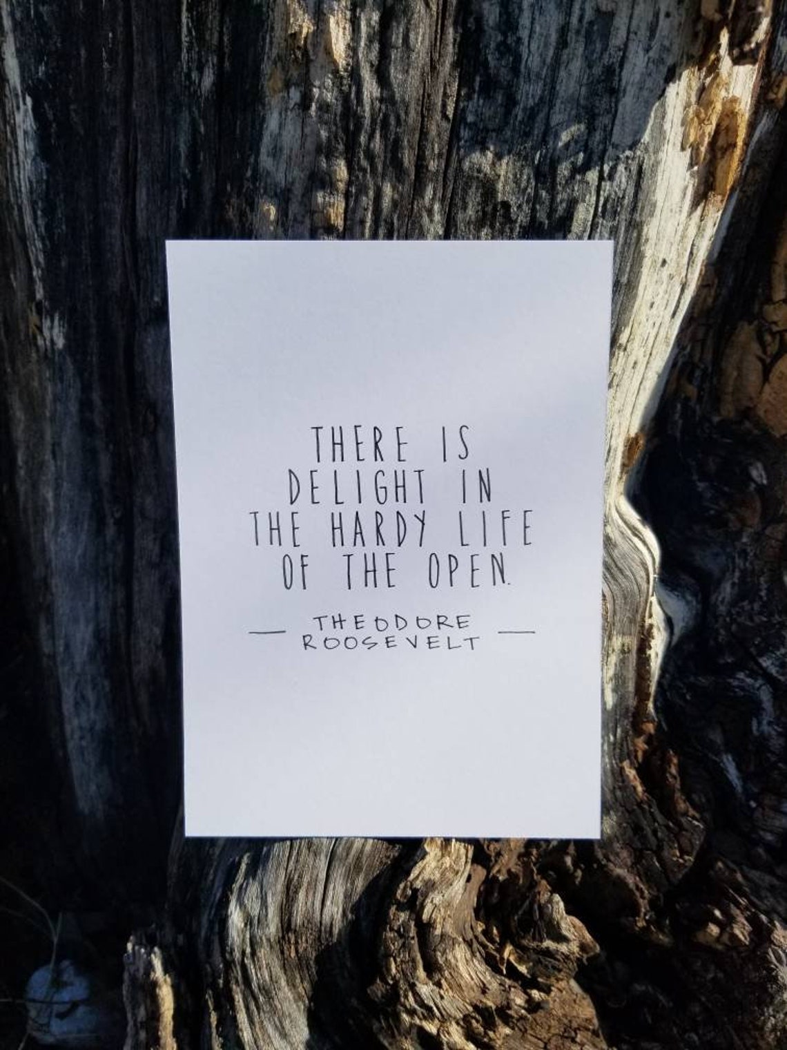 Theodore Roosevelt Quote, Hardy Life, 5x7 Hand Letter Print, Teddy ...