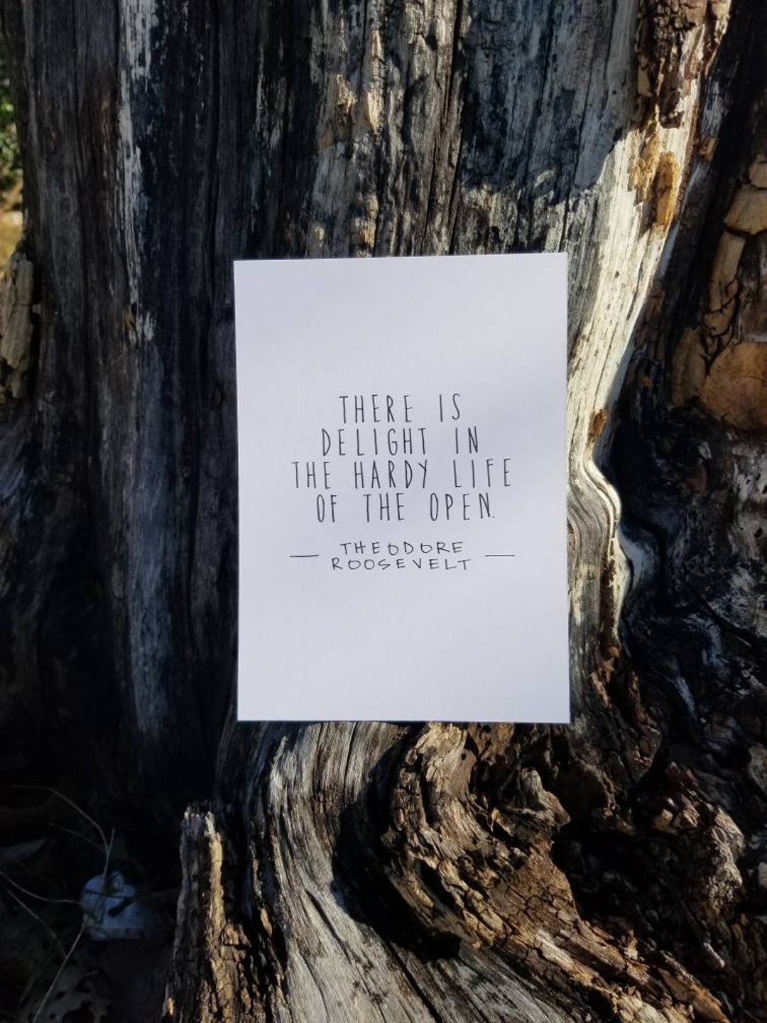 Theodore Roosevelt Quote, Hardy Life, 5x7 Hand Letter Print, Teddy ...